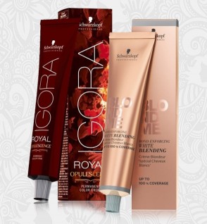Schwarzkopf voordelig online Bestellen bij - Haarshop.nl